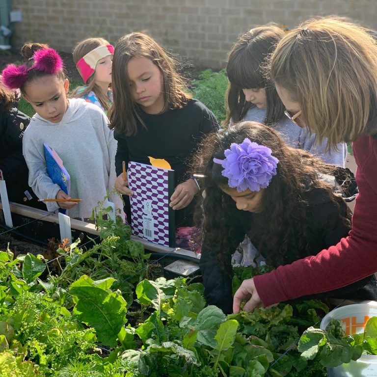 Farm to School | Action for Healthy Kids