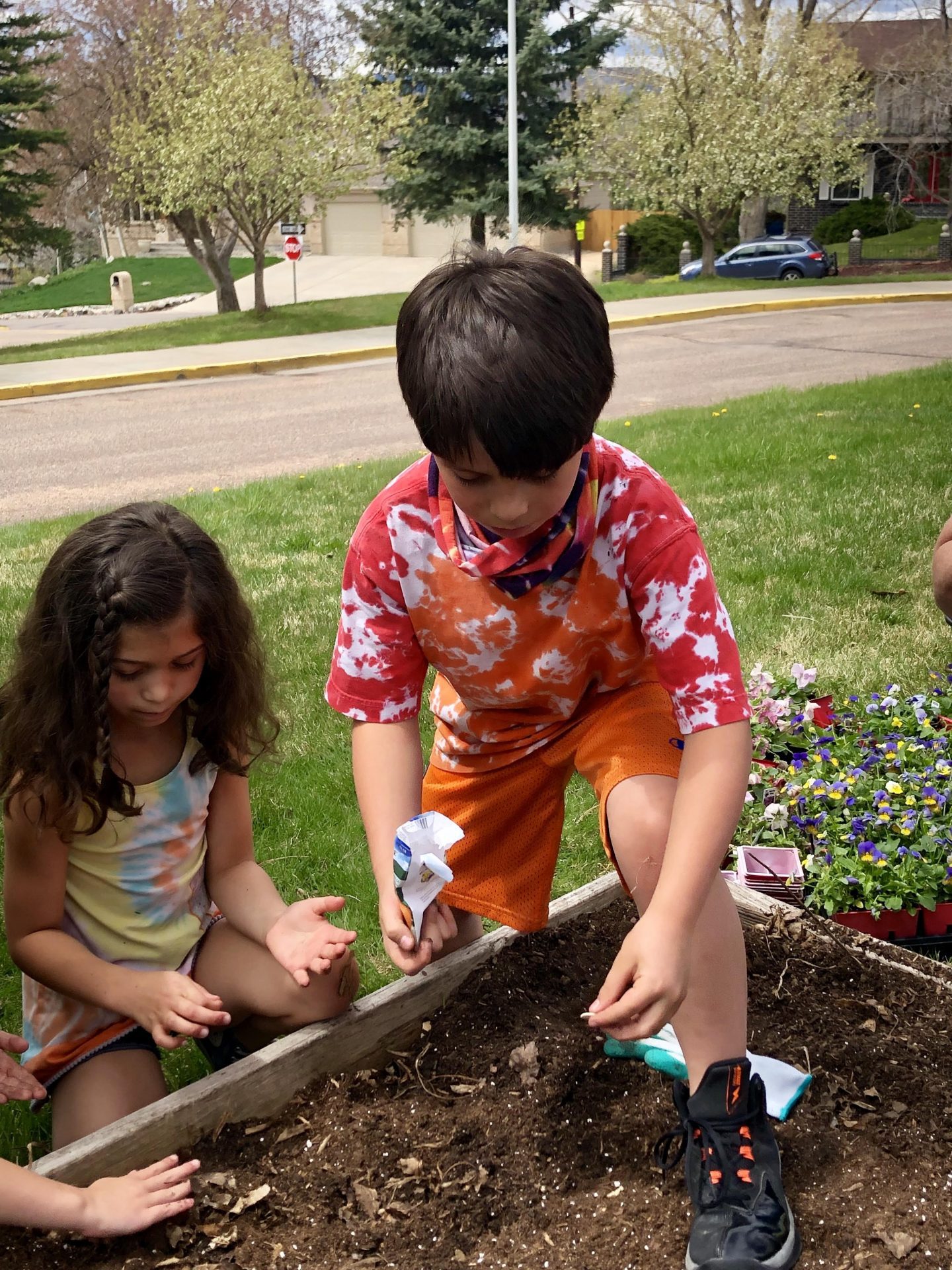 Nature Learning Activities for Kids and Why They Are Important | Action ...